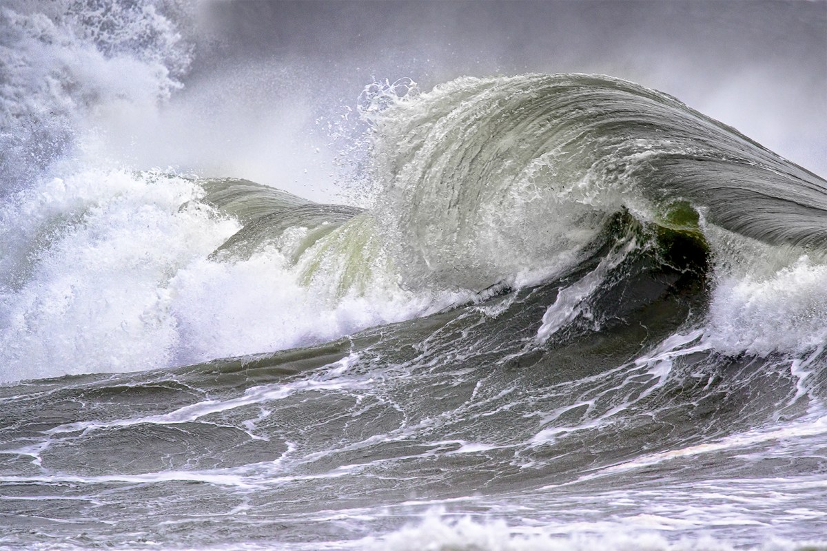 2021—Monster Wave – In Focus Daily